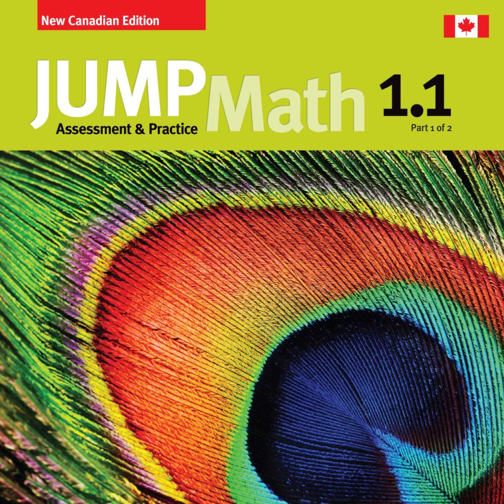 Assessment Practice Book 6 1 JUMP Math Canada assessment-practice-book-6-1-jump-math-canada