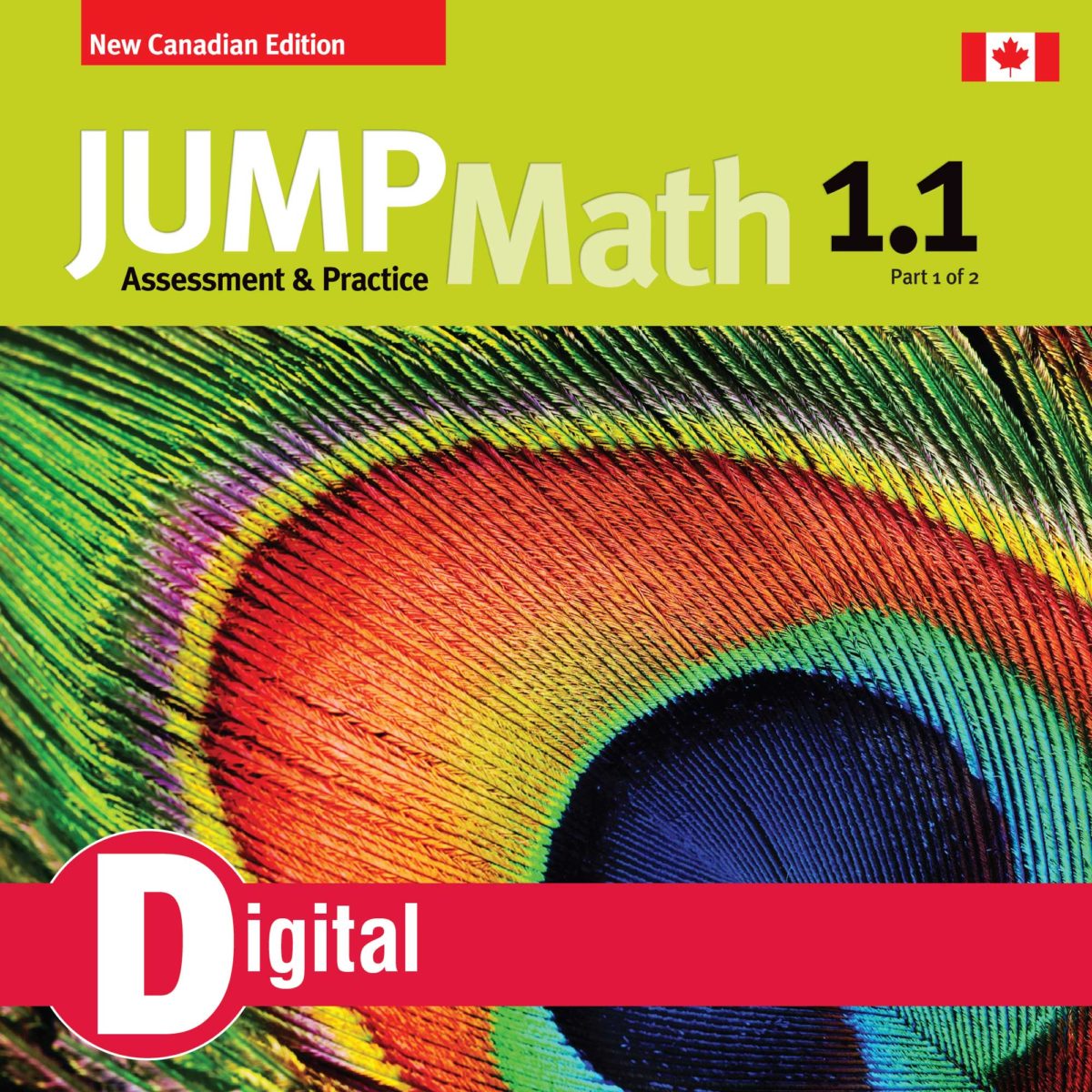 Digital Assessment Practice Books Grade 1 View Only JUMP Math digital-assessment-practice-books-grade-1-view-only-jump-math