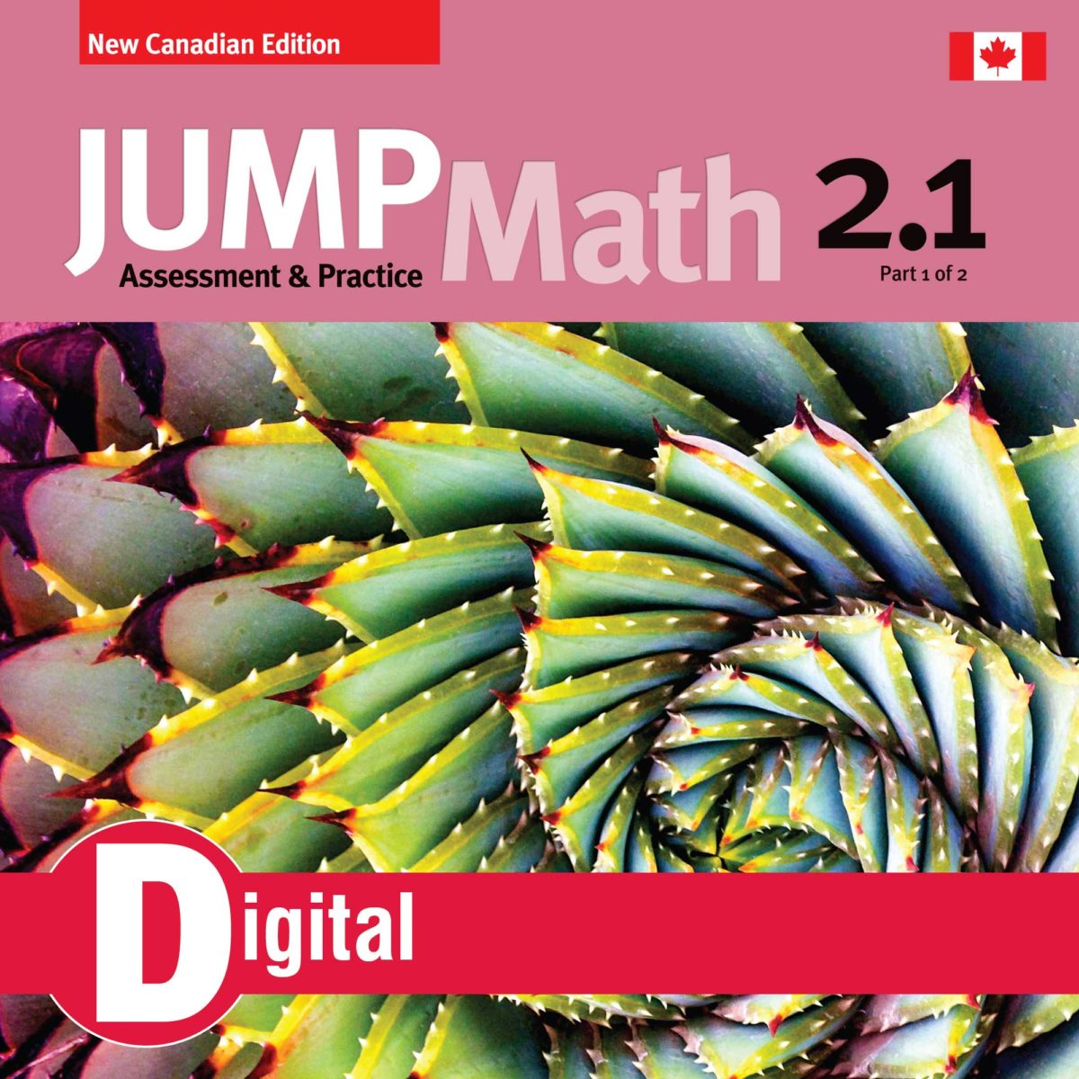 Digital Assessment & Practice Books - Grade 2 (View-Only) | JUMP Math ...