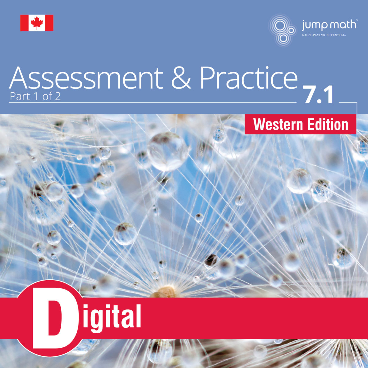 Digital Assessment & Practice Books - Grade 7 Western (View-Only ...
