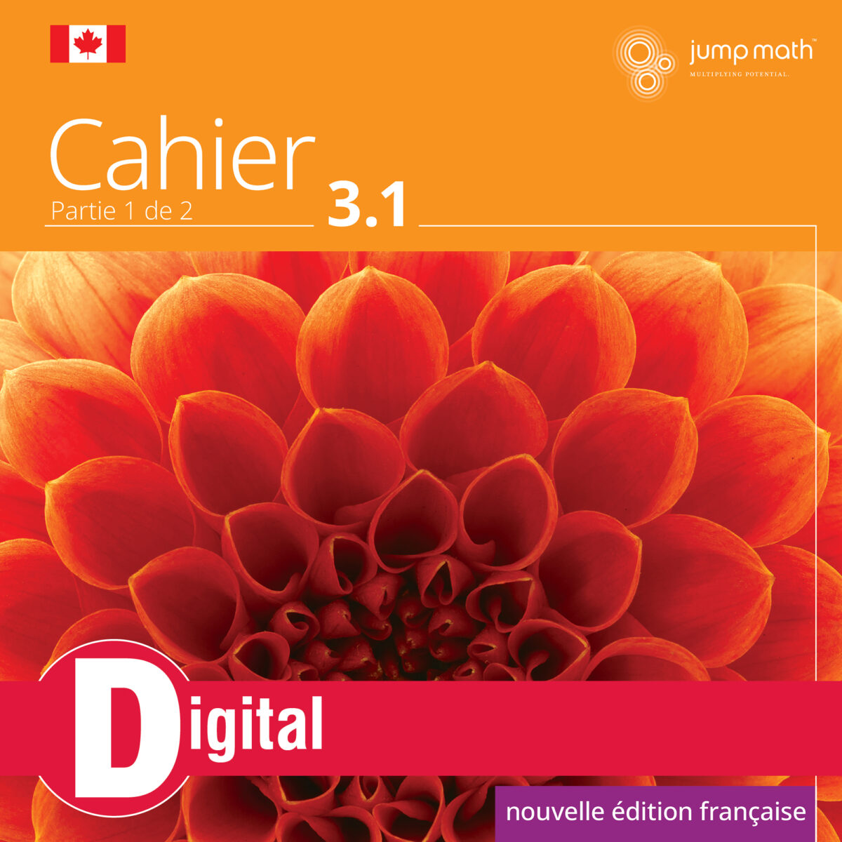 Digital Cahiers - 3e année | JUMP Math Canada
